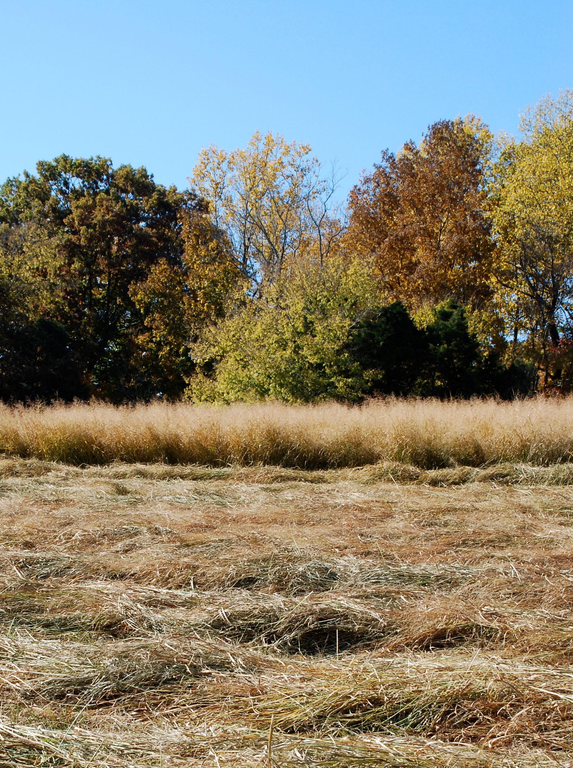 SunGrant Initiative Research Programs | SunGrant Initiative